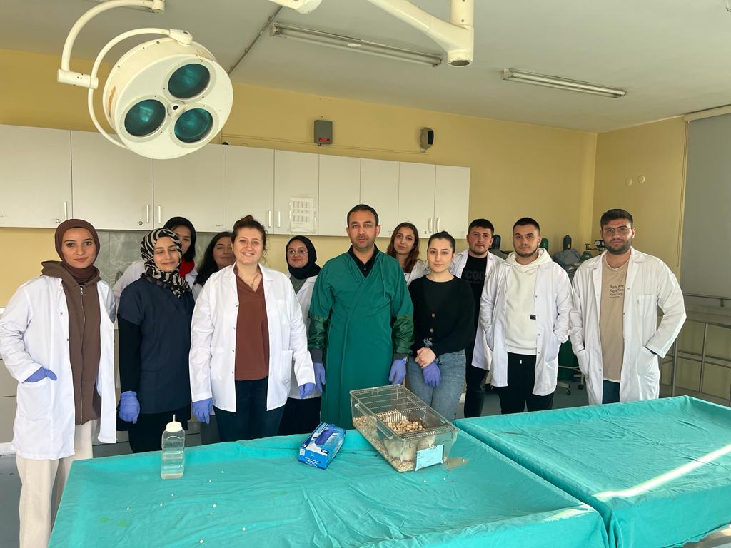 Laborant ve Veteriner Sağlık